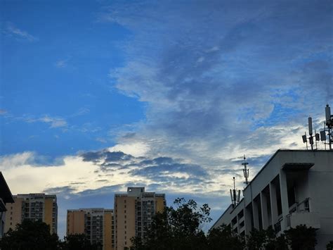 【人工智能】【python】在scikit Learn中使用knn（k最近邻算法） Python Ai C笔记 小竹の笔记本