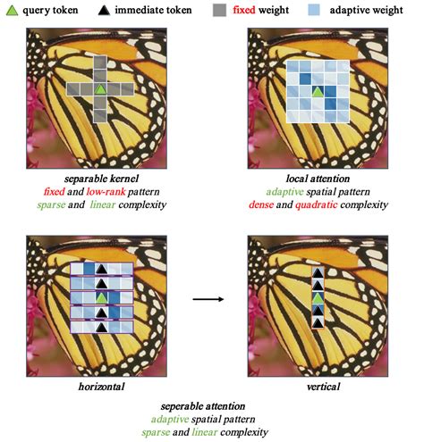 unifying dimensions a linear adaptive approach to lightweight image