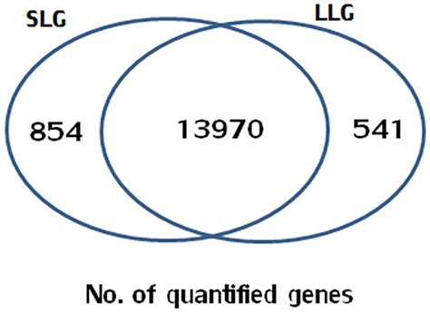 Identification Of Degs By Rna Seq Analysis The Number Of Annotated Download Scientific Diagram