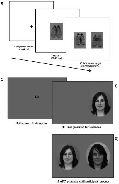 Examples Of Face Recognition Tasks From Session 2 A 2 Afc Shoe Download Scientific Diagram