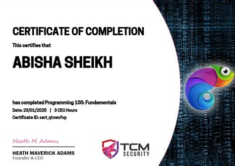 Abisha Sheikh On Linkedin Programming Cybersecurity