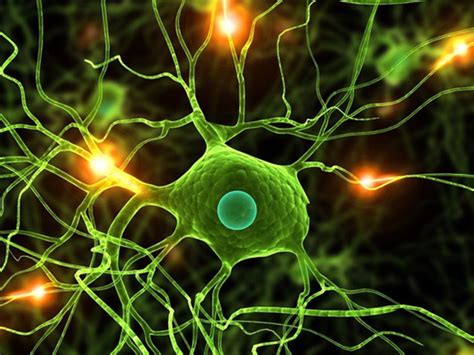 Data Science Deep Learning In Python Gadget Hacks