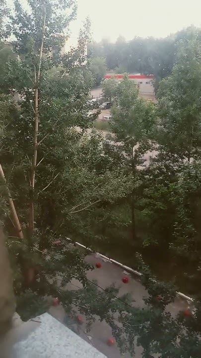 кто любит или не любит пух пишите в коменты Youtube