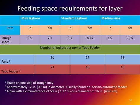 Lecture 7 Layer Management Pptx