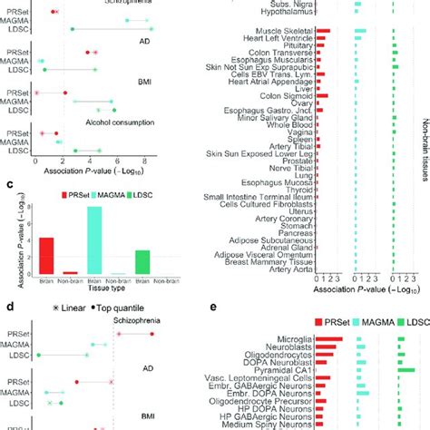 Performance Of Prset Magma And Ldsc For Ranking Of Pathways Defined By Download Scientific
