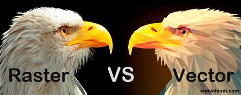 Raster और Vector Graphics कय ह दन म कय अतर ह कब कसक use कर