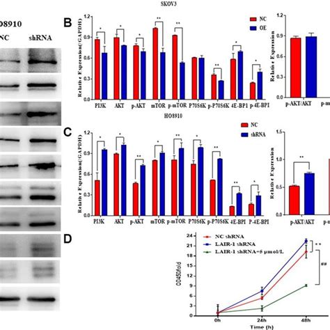 Lair 1 Suppresses Ovarian Cancer Cell Growth By Regulating