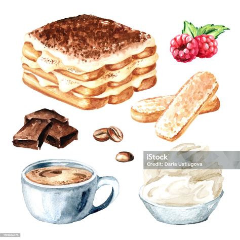 티라미수 재료 세트와 이탈리아 전통 달콤한 디저트 흰색 배경에 격리 된 수채화 손으로 그린 그림 드로잉에 대한 스톡 벡터 아트