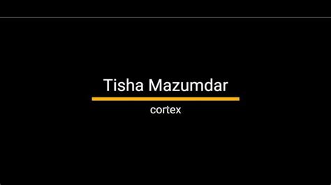 Tisha Mazumdar On Linkedin Cortex Headstarter Ai Chatbot