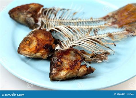 Fish Bones