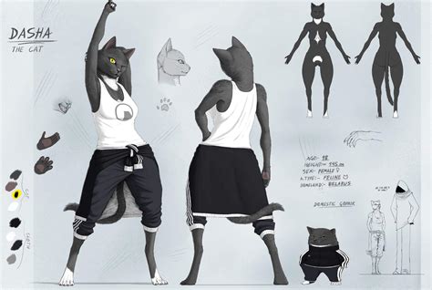 Dasha The Cat Reference V1 1 Furry Amino