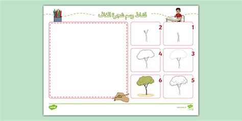 نشاط لنرسم معًا رسم شجرة الغاف