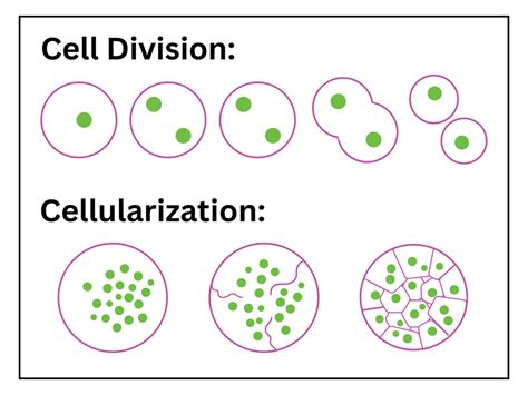 Multicellular Archaea Charged Magazine