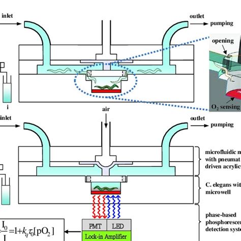 A Schematic Of A Microfluidic Device Integrated With An Optical