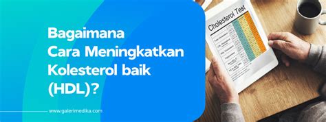 Bagaimana Cara Meningkatkan Kolesterol Baik HDL Galeri Medika