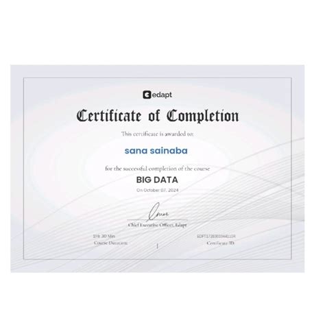 Sana Sainaba On Linkedin Bigdata Ai Datascience Continuouslearning