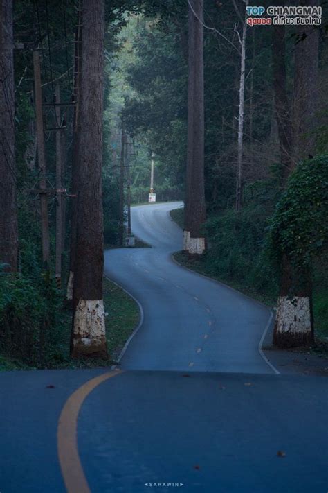 บ้านระเบียงดาว หมู่บ้านนาเลาใหม่ อำเภอเชียงดาว