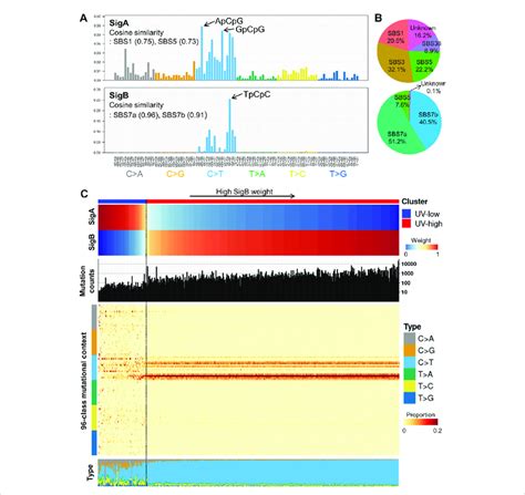 De Novo Mutational Signature Extraction And Unsupervised Clustering In