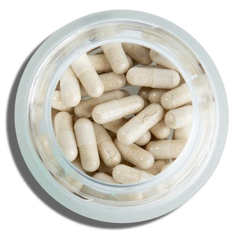 What Is Dendritic Cell Function And Why Is It Crucial In Immunity