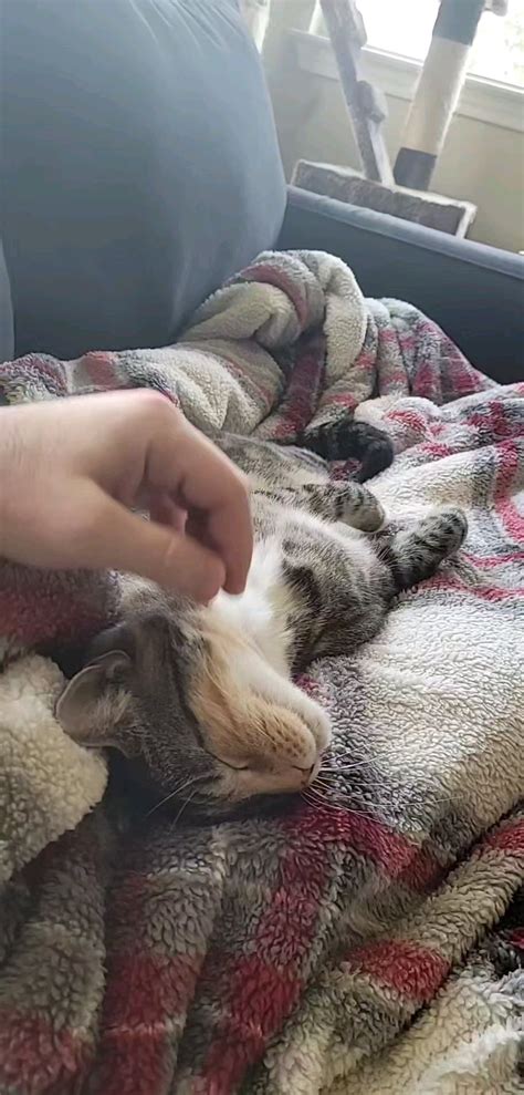 My Sic Is Recharging Guess Im Stuck Here For A While R