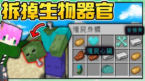 【minecraft】禾卯－如果麥塊可以🔥拆掉所有生物的器官🔥身體零件隨便拿下來還可以擺回去！竟然連終界龍都能輕鬆動心臟手術🤣！！！【我的世界