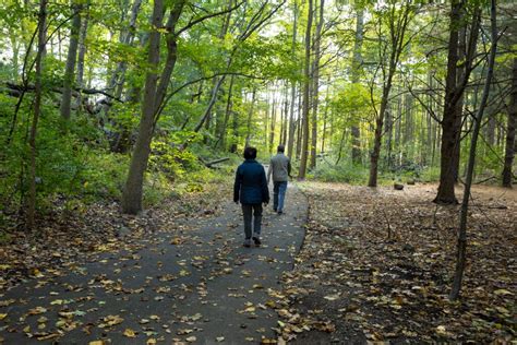 Funding The Care Of Urban Forested Natural Areas Natural Areas