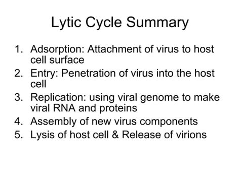 07 Lytic Vs Lysogenic Cycle PPT Biological Sciences Science