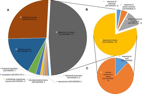 Significantly Enriched Biological Processes A Based On Gene Ontology