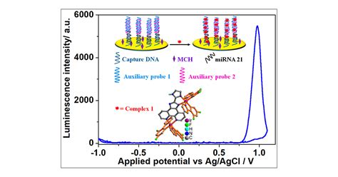 Single Molecule Microrna Electrochemiluminescence Detection Using