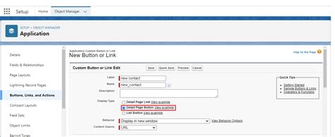 What Is Custom Buttons In Salesforce Forcelearn
