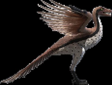 Size Comparison Archaeopteryx Vs Human