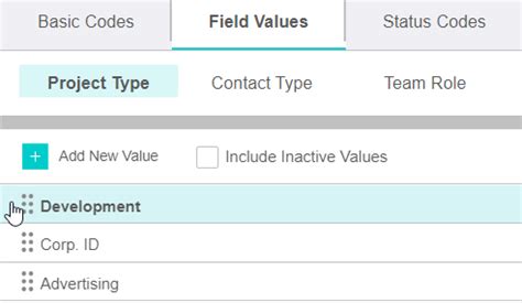Create And Edit Field Values BigTime Software