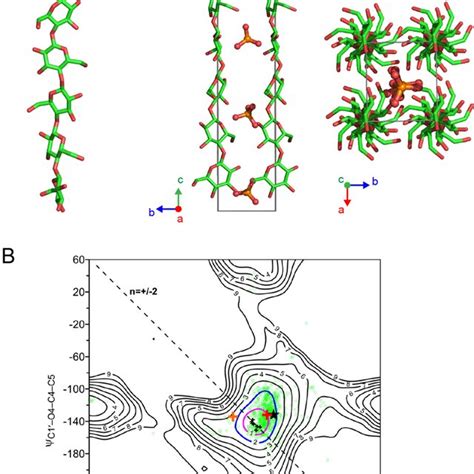 A Cellulose Chain In 74 Helical Conformation B Conformational Energy