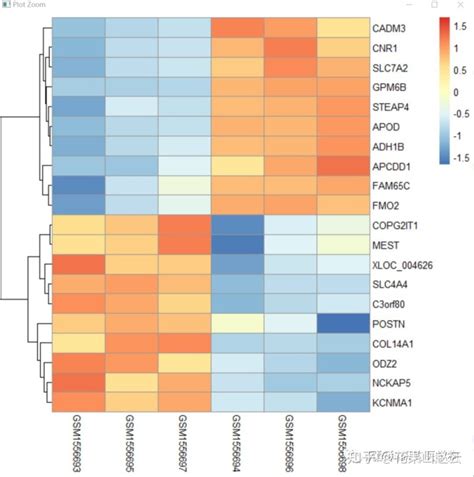 基因测序热图怎么看 高通量测序热图怎么看 基因测序图 第10页 大山谷图库