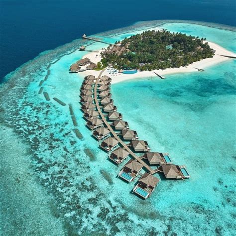 허니문리조트제주지사• 제주웨딩 제주결혼 제주허니문전문여행사 신혼여행 🌴 몰디브 힐튼 아밍기리 리조트 허니문 🌴 💕 힐튼의 품격 있는 서비스로 완성하는 완벽한