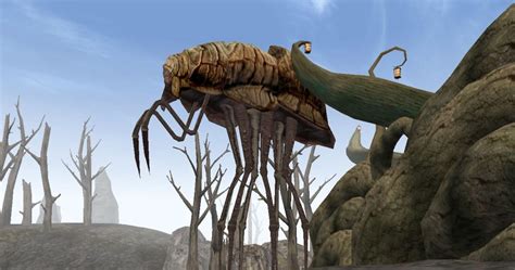 Morrowind Loading Screens Were Secretly Rebooting Your Xbox