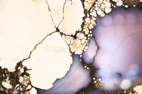 Chalcedony Chemical Formula Sio2 Is A Mineral Stock Image Image Of