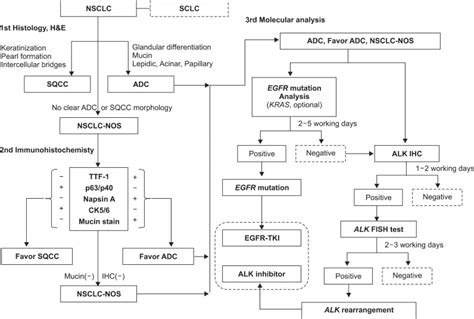 A Diagnostic Algorithm For Histologic Subtyping And Molecular Analysis