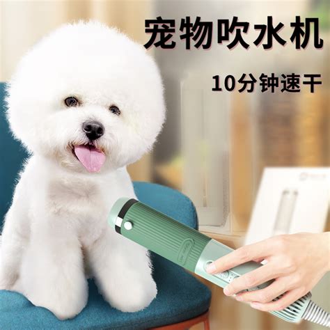 宠物吹风机来旺兄弟吹水机猫吹风拉毛一体机狗狗专用静音洗澡烘干虎窝淘