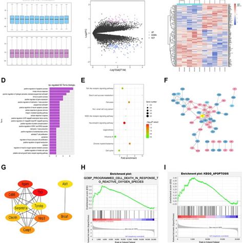 Results Of Bioinformatics Analysis A Before And After Quantile Download Scientific Diagram