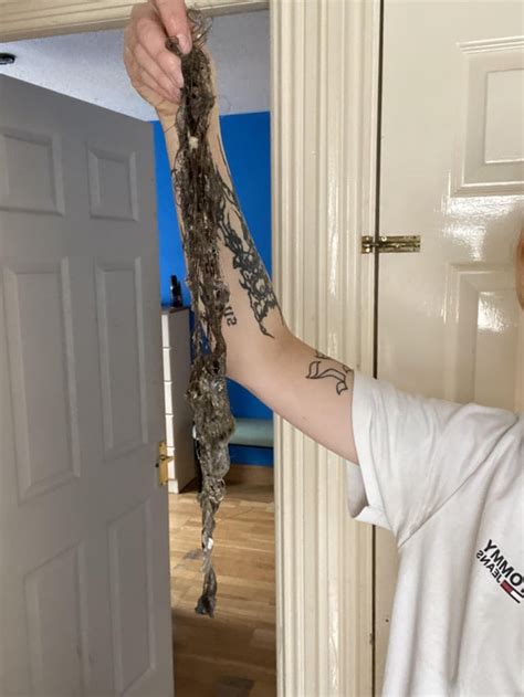 Hair Pulled From A Drain That Hasnt Been Cleaned In 3 Years My Arm For Reference R Makemesuffer