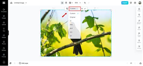 Crop Like A Pro 7 Best Picture Crop Tools To Ignite Your Creativity In 2024