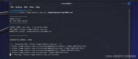 Web 目录爆破神器：dirb 保姆级教程（附链接） Csdn博客