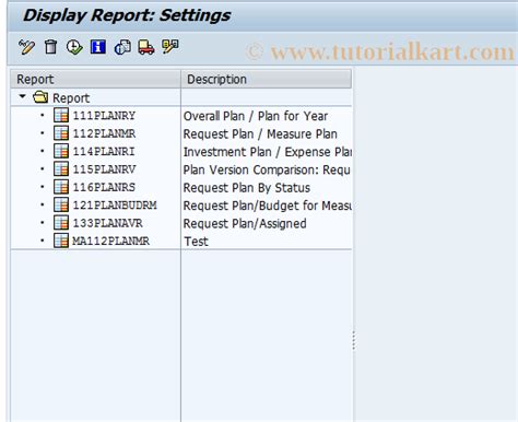 IMD SAP Tcode App Req Display Report Transaction Code