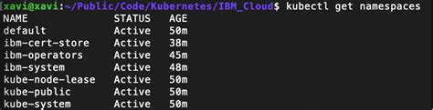 A Machine Learning Application That Deploys To The Ibm Cloud Kubernetes