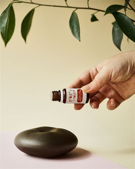 Stone Diffuser Aromatherapy Diffuser Ceramic Stone Etsy