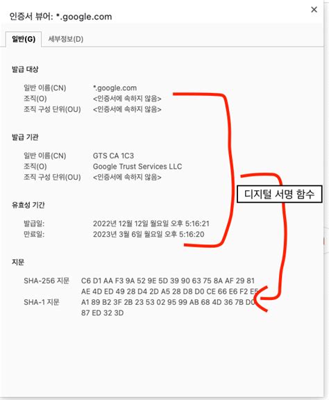 HTTPS SSL TLS 개념 원리