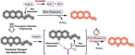 Accelerated Activity Based Sensing By Fluorogenic Reporter Engineering