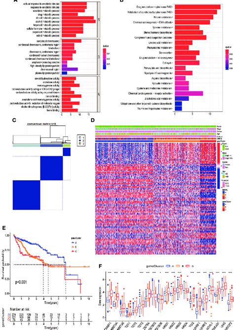 Dna Modification Pattern Related Degs And Gene Clusters In Hcc A B