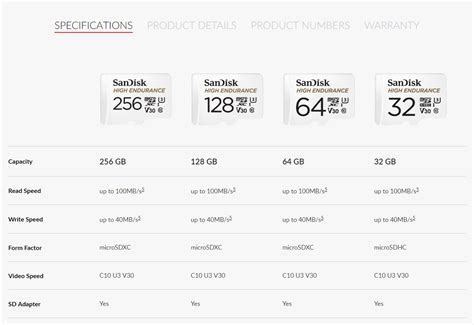 SanDisk 128GB High Endurance Micro SDXC Flash Trend